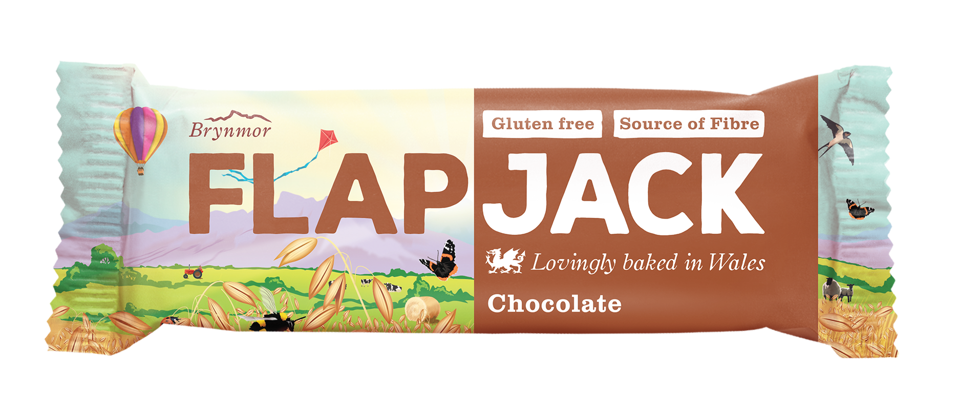 Delicious Chocolate Coated Flapjacks (Vegan) | Brynmor